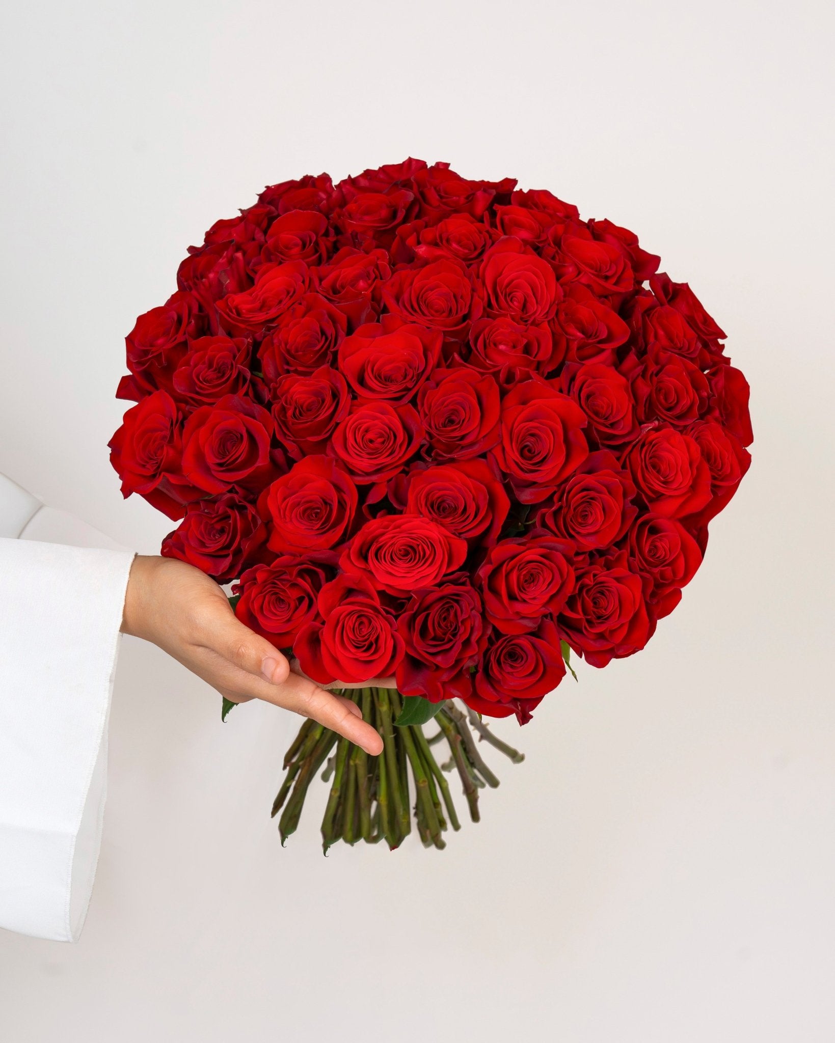 Red Rose - Freedom Ecuador