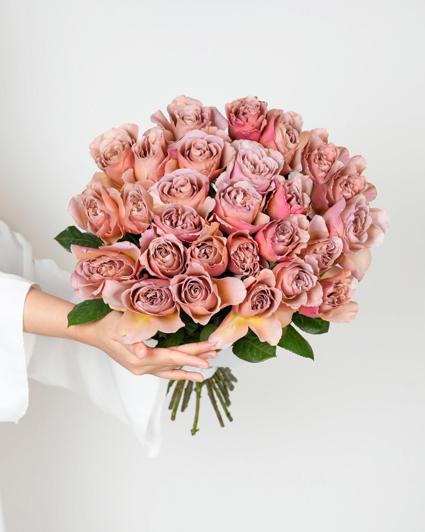 Rose Cafe Latte - 10 Stems