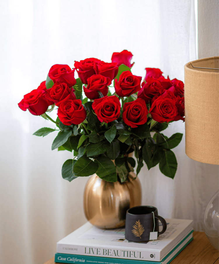 Rose Flower Delivery In Dubai, Abu Dhabi & UAE | Affordable Rose Gifts ...